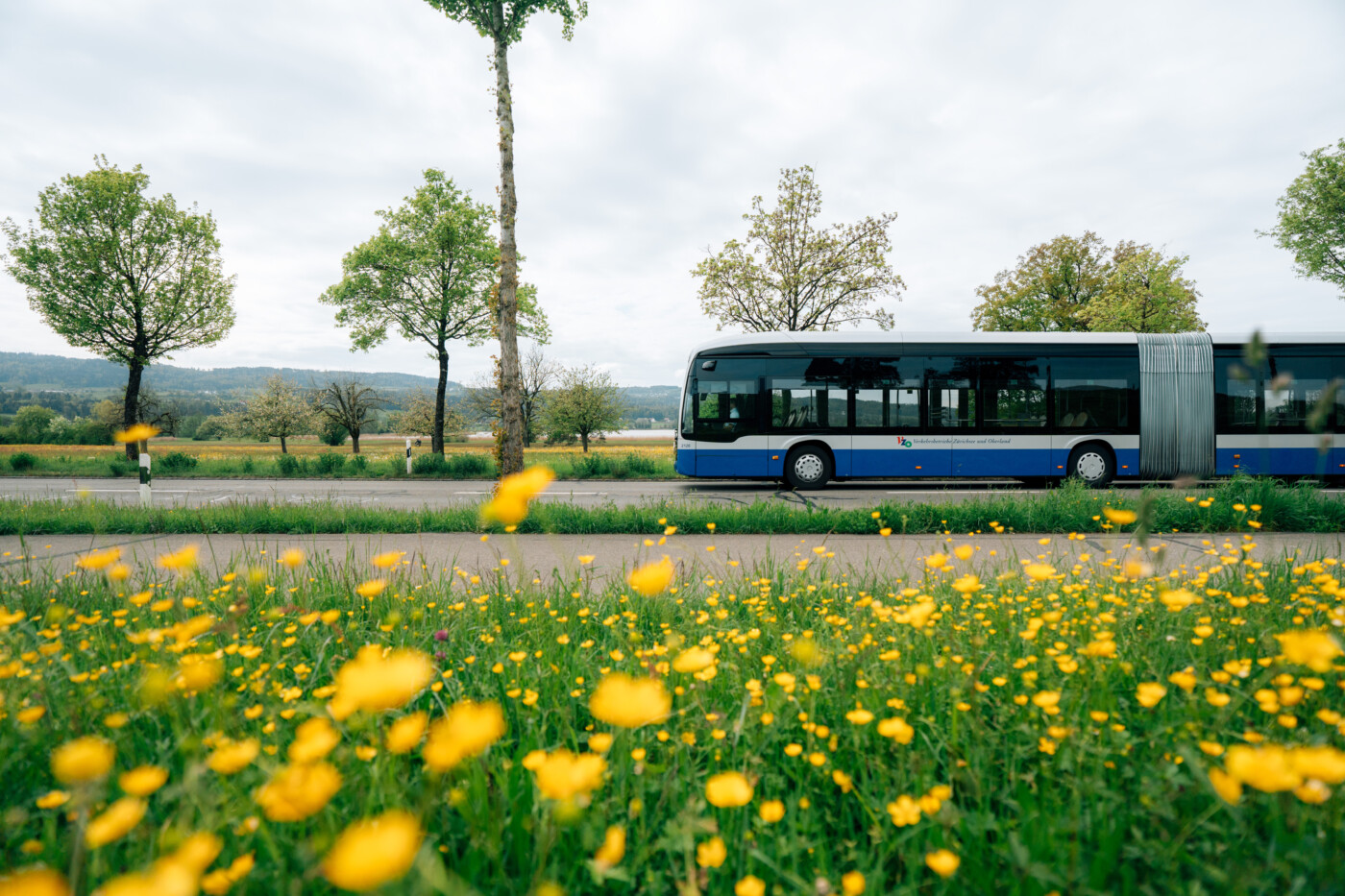 Verkehrsbetriebe Zürichsee und Oberland AG | VZO (de)